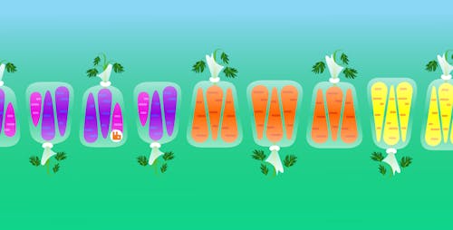 Monitoring RabbitMQ performance with Datadog | Datadog