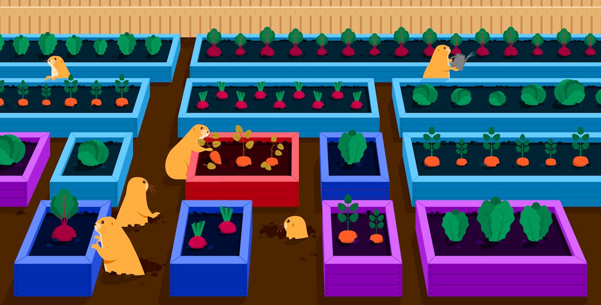 Automatically detect error and latency patterns with Watchdog Insights ...